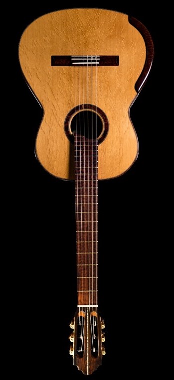 DnA Ryer Guitars - Luthiers