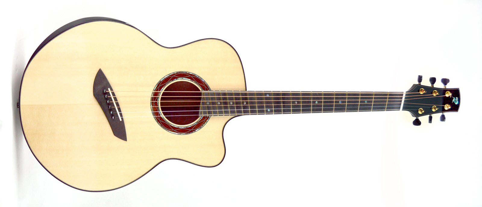 Tim Reede Guitars - Luthiers