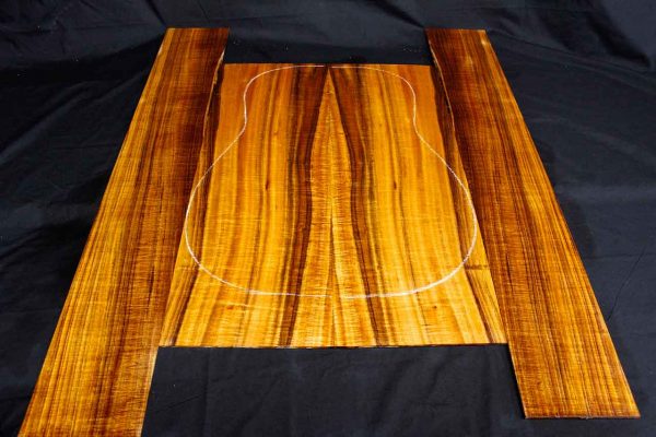 Tasmanian Acoustic Tonewood Interview 5 Tonewoods Sets - Luthiers