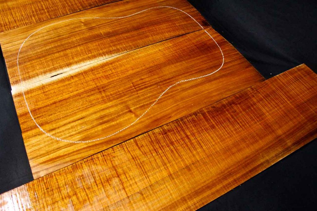 Tasmanian Acoustic Tonewood Interview 5 Tonewoods Sets - Luthiers