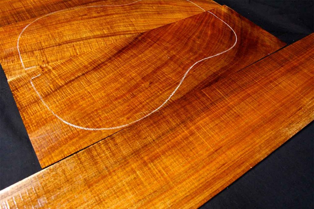 Tasmanian Acoustic Tonewood Interview 5 Tonewoods Sets - Luthiers