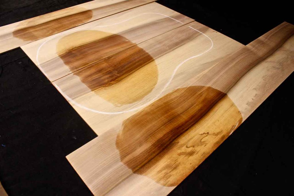 Tasmanian Acoustic Tonewood Interview 5 Tonewoods Sets - Luthiers