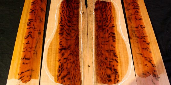 Tasmanian Acoustic Tonewood Interview 5 Tonewoods Sets - Luthiers