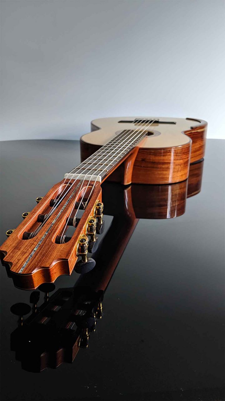 DnA Ryer Guitars by David Ryer Interview - Luthiers